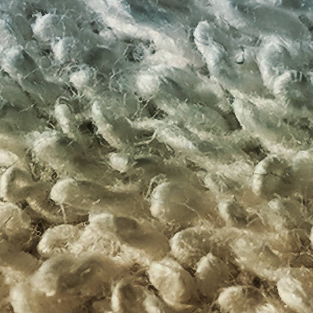 Imagery and Perception: Revealing Beauty Through Texture - Gaming ...