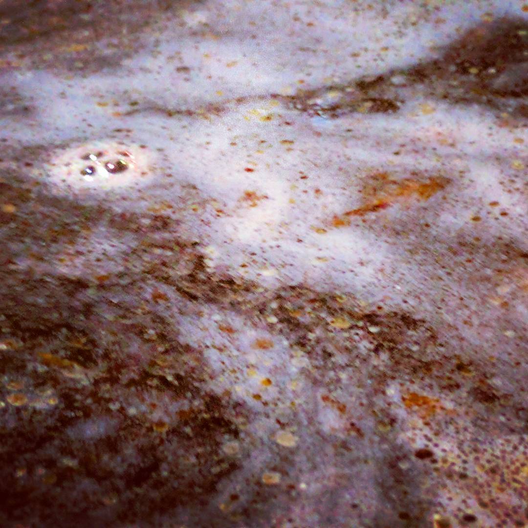 Abstract Nature Photography: Art Through a Lens - Gaming, Songs, Python ...